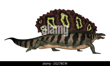 Edaphosaurus prehistoric animal, isolated on white background Stock ...