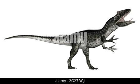 3D illustration of an Allosaurus dinosaur, side view Stock Photo - Alamy