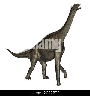 Atlasaurus dinosaur walking, side view isolated on white background ...