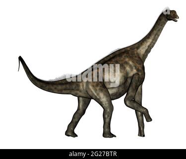 Atlasaurus dinosaur walking, side view isolated on white background ...