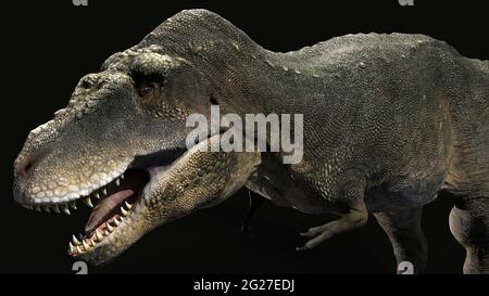 Tarbosaurus bataar, a prehistoric era dinosaur from the Late Cretaceous ...