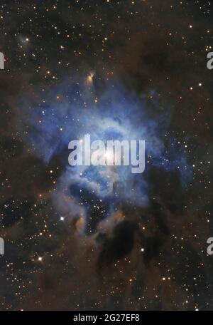 The Iris Nebula (NGC 7023,Caldwell 4) is a bright reflection nebula in ...