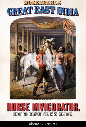 Vintage mammal illustration Stock Photo - Alamy