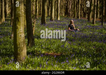 Pregnant Alana Davidson (34) sits in fully bloomed Bluebell flowers ...
