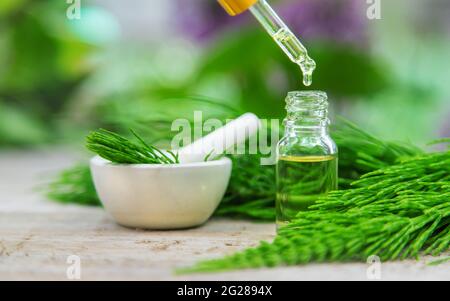 Horsetail extract in a small bottle. Selective focus. Nature Stock ...