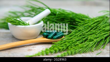 Horsetail pills homeopathy on a wooden spoon. Selective focus. Nature ...