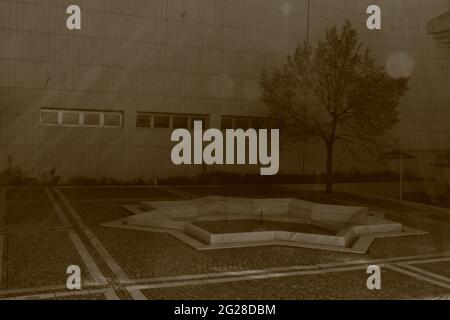 seljuk star and tree Stock Photo - Alamy