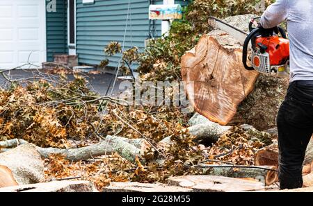 In a hurricane storm, the worker has a chainsaw and he is chainsawing ...