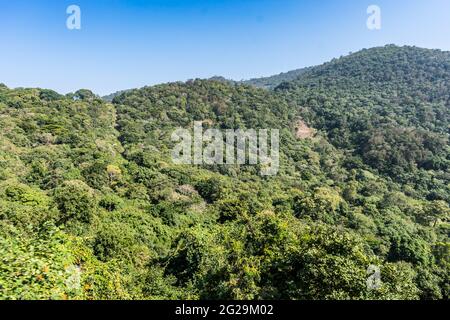 A close view of a greenery mountain looks awesome Stock Photo - Alamy