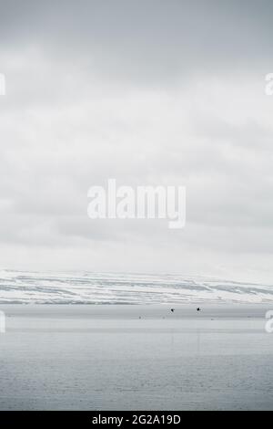 A scenic lake under the gloomy sky at sunset Stock Photo - Alamy