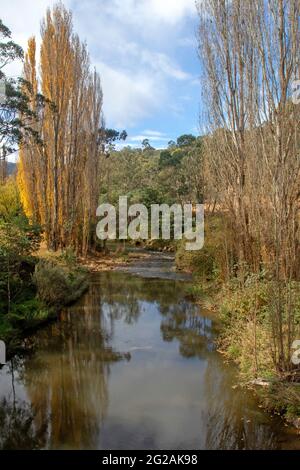 The Cobungra River at Anglers Rest Stock Photo - Alamy