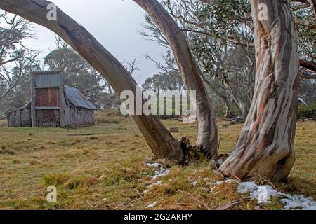 Wallace Hut, Alpine National Park Stock Photo - Alamy