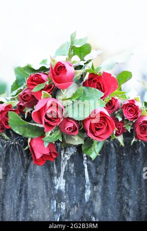 Many red roses on black background Stock Photo - Alamy
