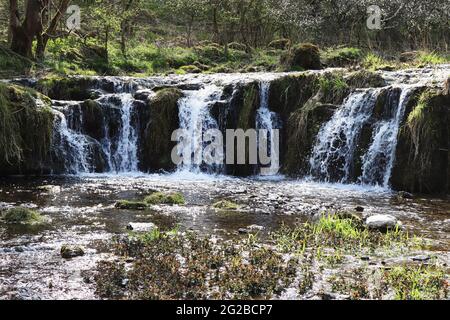 Lathkill Dale Waterfall, Peak District Stock Photo - Alamy
