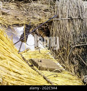 Straw thatch and thatching tools on display Stock Photo - Alamy