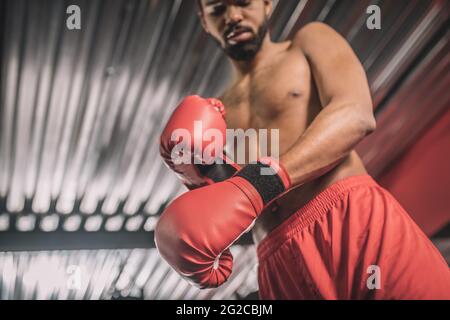 Determined sportsperson in boxing gloves practicing at gym Stock Photo ...