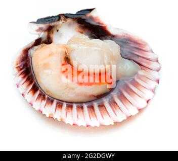 Clean very fresh red raw meat beef, red cow meat texture Stock Photo ...