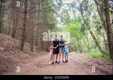 A family explore the woods of france and the shade pine trees Stock ...