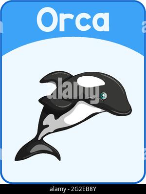 Flashcard letter O is for orca Stock Vector Image & Art - Alamy