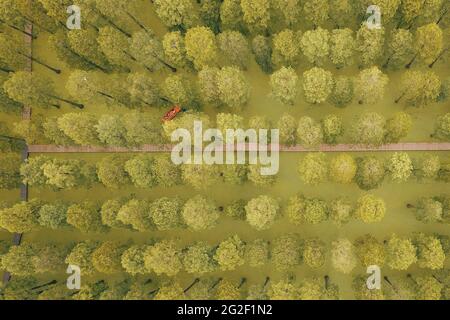 YANGZHOU, CHINA - JUNE 11, 2021 - Tourists visit the water forest of ...