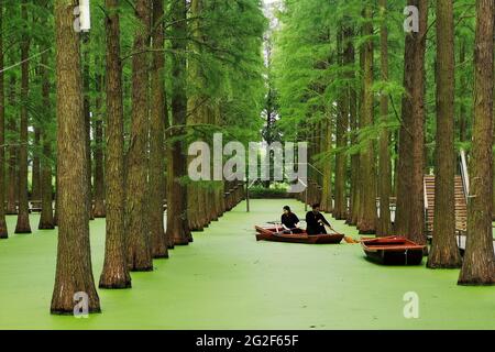 YANGZHOU, CHINA - JUNE 11, 2021 - Tourists visit the water forest of ...