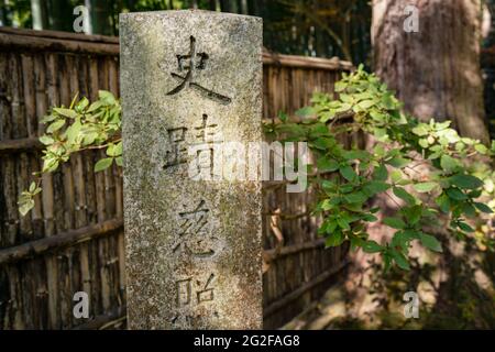 Bamboo fence on stone with green leaves ( Filtered image processed ...