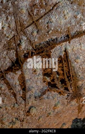 Intricate boxwork with cave popcorn in Wind Cave, Wind Cave National ...