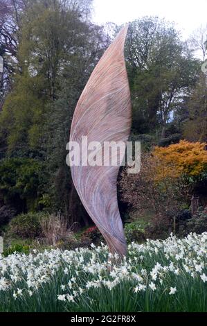 A Sycamore Key Stock Photo - Alamy