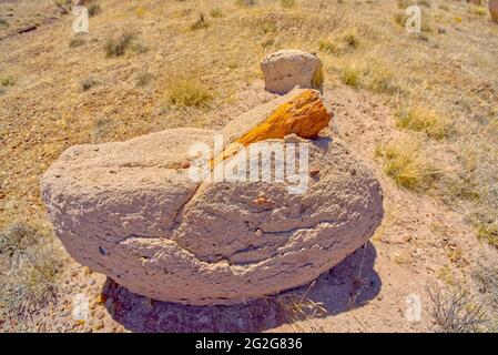 Fossil Rock, A landmark rock formation embedded with marine fossils ...