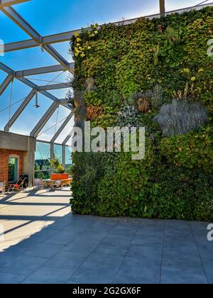 Wroclaw, Poland - July 29 2020: Green wall full of flowers and bushes ...