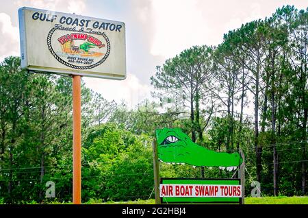The Gulf Coast Gator Ranch and Tours sign features an alligator, June 9 ...