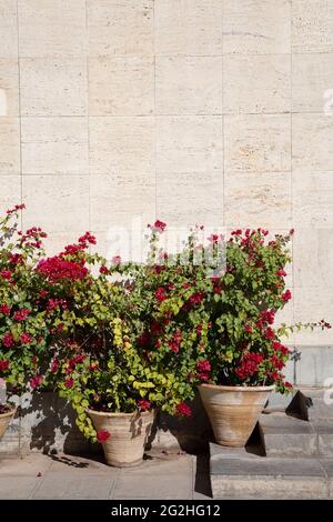 Eram Garden in Shiraz Stock Photo - Alamy