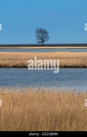 Schleimünde nature reserve on the Baltic Sea in Schleswig-Holstein ...