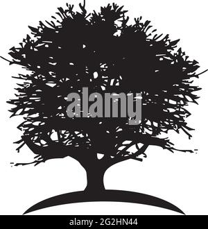 Tree design, Nature plant summer season environment natural and ...