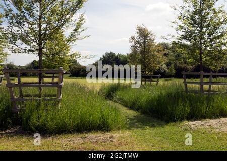 Bletchingdon Park estate, Oxfordshire, England, UK Stock Photo - Alamy