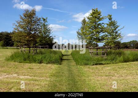 Bletchingdon Park estate, Oxfordshire, England, UK Stock Photo - Alamy