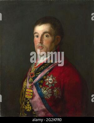 The Duke of Wellington, Francisco de Goya, 1812-14 Stock Photo - Alamy