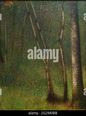 The Forest at Pontaubert. Georges Seurat. 1881 Stock Photo - Alamy