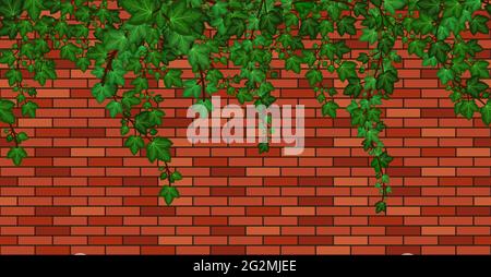 Brick wall with ivy leaves falling. Green ivy foliage on brown brick ...