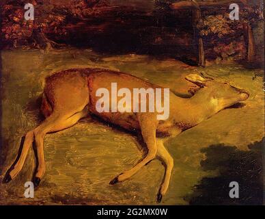 The Dead Doe 1857 by Gustave Courbet Stock Photo - Alamy