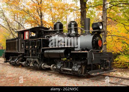 Old geared steam locomotive used for hauling logs, at Scotia Museum, in ...