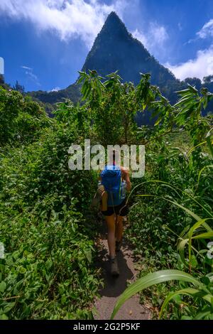 Grand Bassin Hiking Tour Stock Photo - Alamy