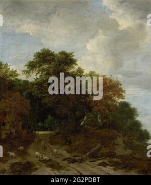 Jacob van Ruisdael Forest landscape with swampy water. Lithography ...