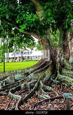 Edison & Ford Winter Estates in Fort Myers South Florida Stock Photo ...