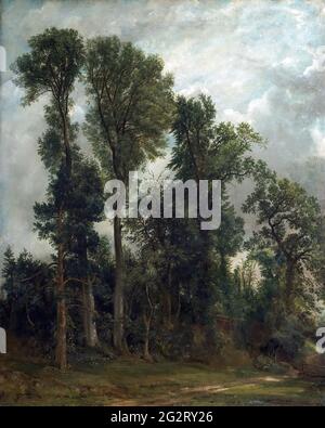 John Constable - Trees on Hampstead Heath Stock Photo - Alamy