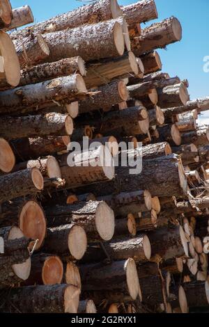 a beautiful picture of stacked tree logs, Trentino, Italy, detail Stock ...
