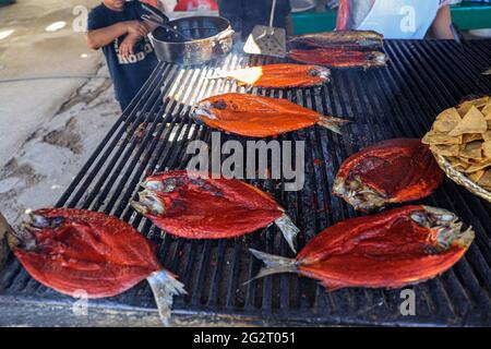 Lisa in adobo, fish with garlic sauce. in Kino bay, Sonora, Mexico ...