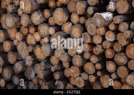 a beautiful picture of stacked tree logs, Trentino, Italy, detail Stock ...