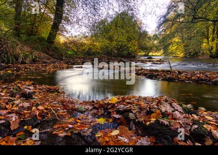 The Autumn Collection, North Devon Stock Photo - Alamy