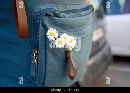 Summer floral concept with blue backpack with beautiful yellow flowers ...